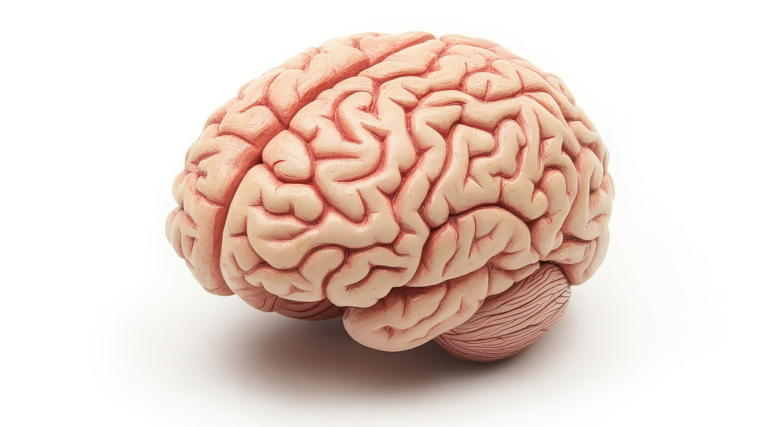 Why Do I Feel Dizzy When I Stand Up Quickly?
